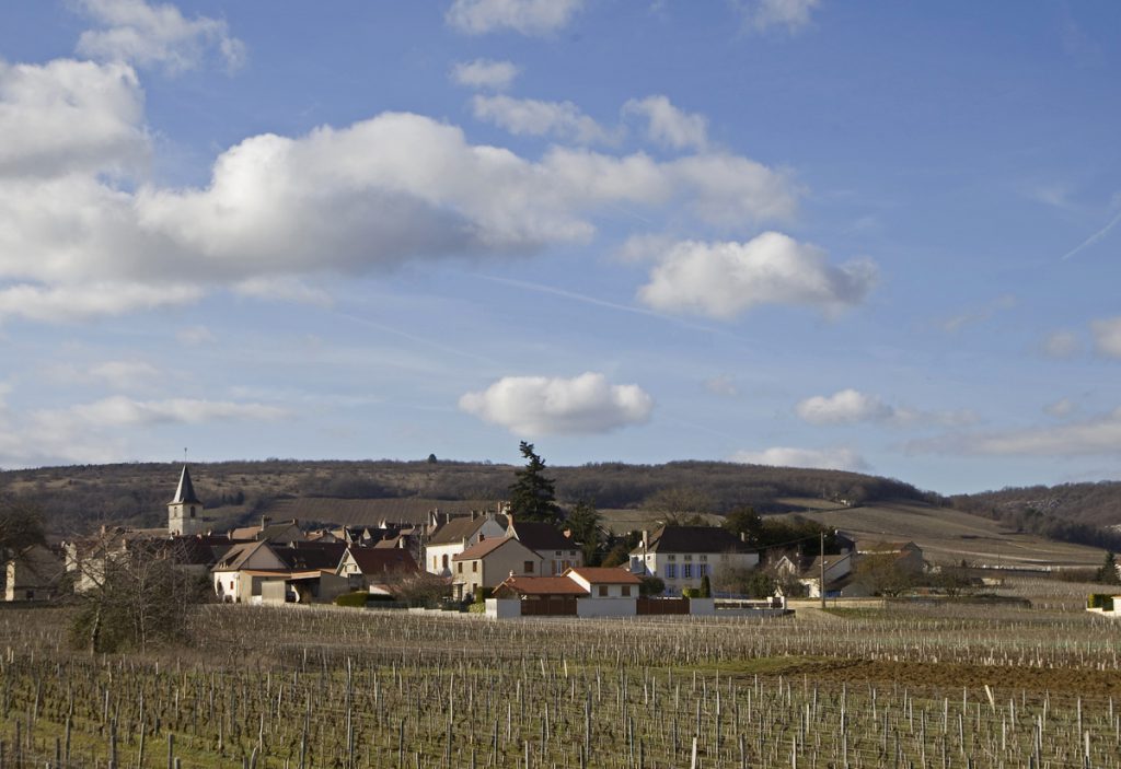 The rebirth of Vosne Romanée Les Clous - Domaine Prieuré Roch